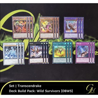 Yugioh [DBWS-SET01] Transcendrake Set from Deck Build Pack: Wild Survivors | Shopee Thailand