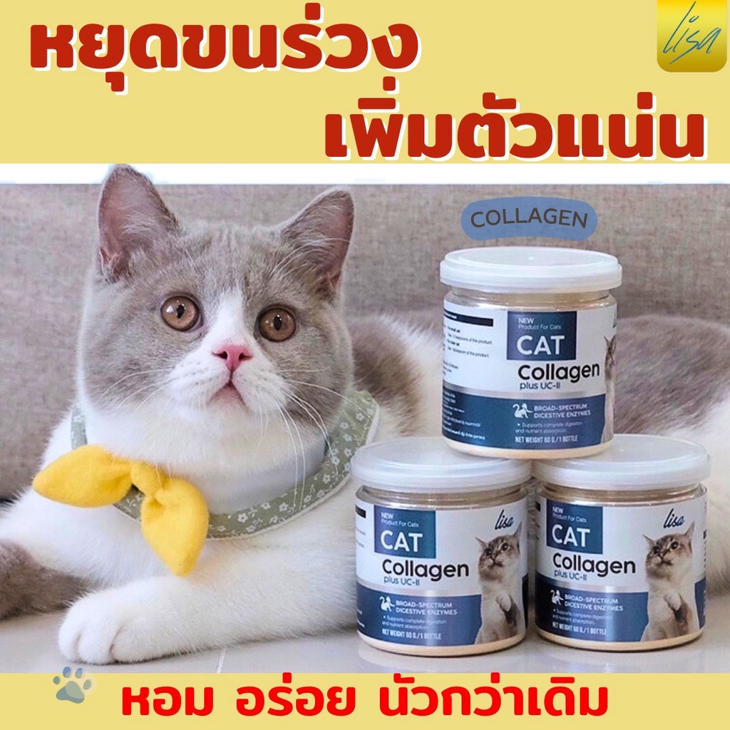 11.11 #ส่งฟรี Lisa Cat Collagen ผงโรยอาหารแมว ลดขนร่วง #บำรุงขนสวย มี ...