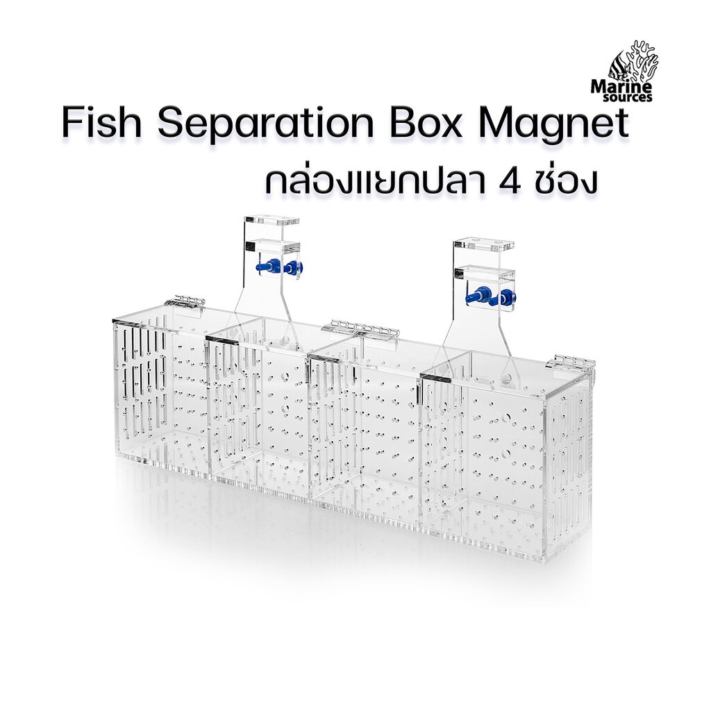 Marine Source กล่องแยกปลา 4 ช่อง Fish Separation Box กล่องพักปลา กล่อง ...