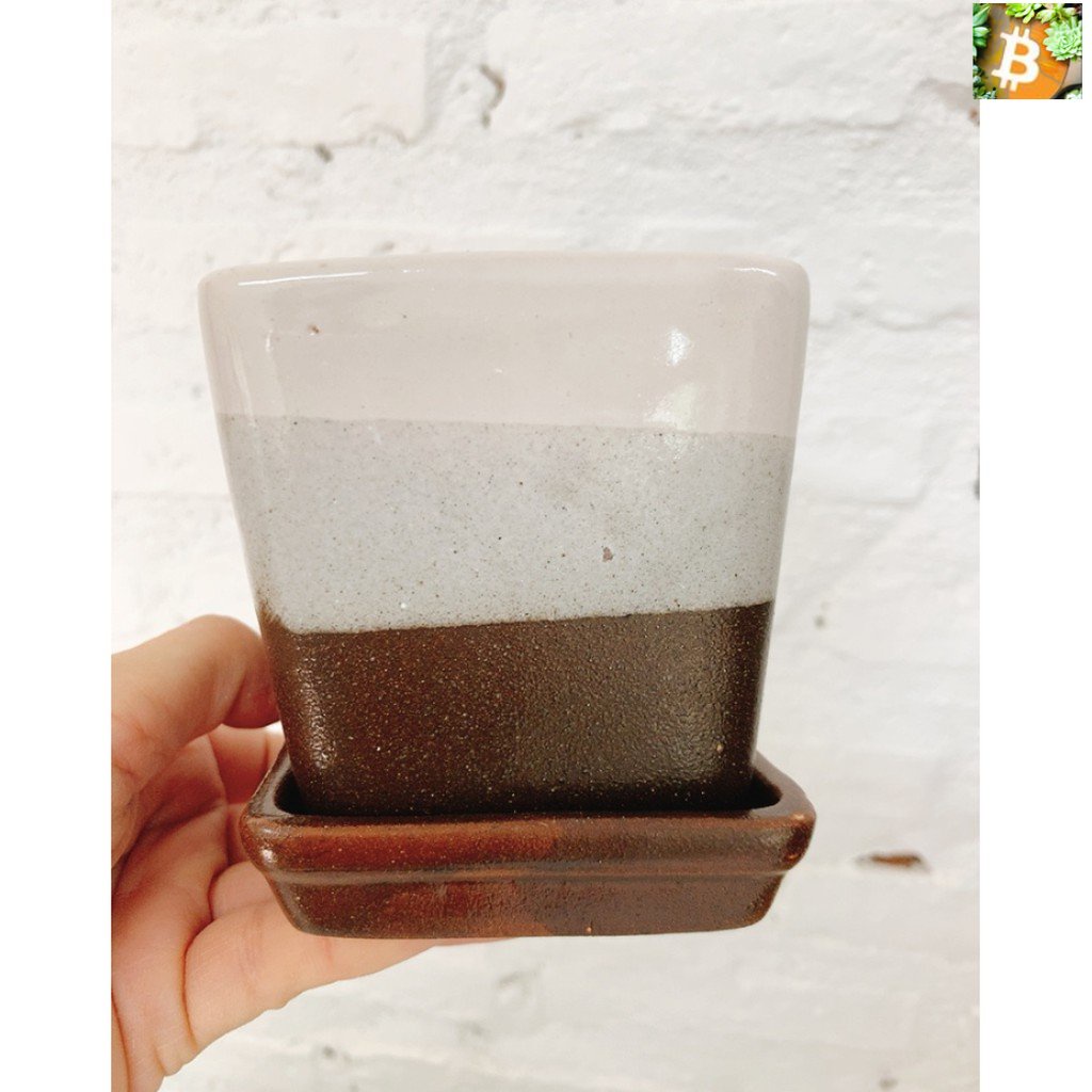 bitcoin กระถางแคคตัส Latte 1 ใบพร้อมจานรอง Thanks | Shopee Thailand