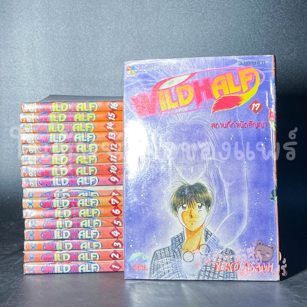 เรื่อง: WILD HALF สุนัขพเนจร เล่ม 1-17 จบ ผู้แต่ง: Yuko Asami | Shopee Thailand