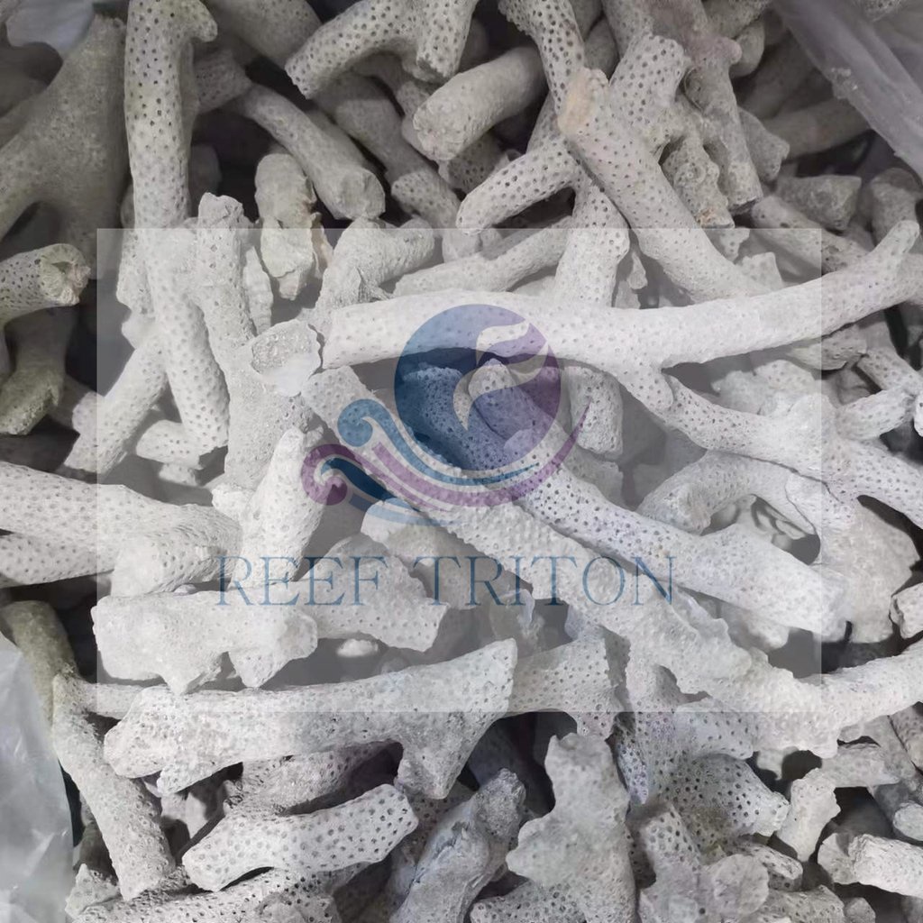 หินปะการัง 200g เกรด A Aquarium aquascape tonga rock Filter Media ...