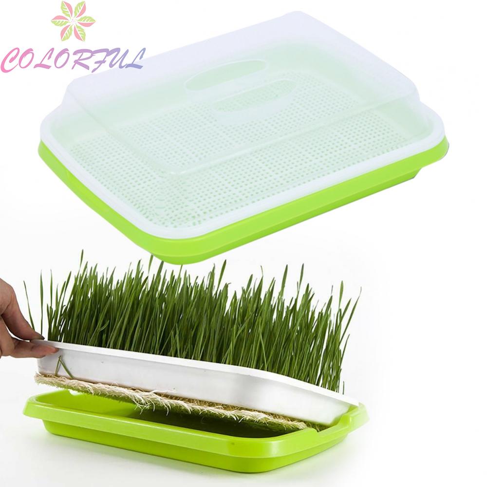 【COLORFUL】Nursery Pot Bean Sprout Sprouter Hydroponics Planting Nursery ...