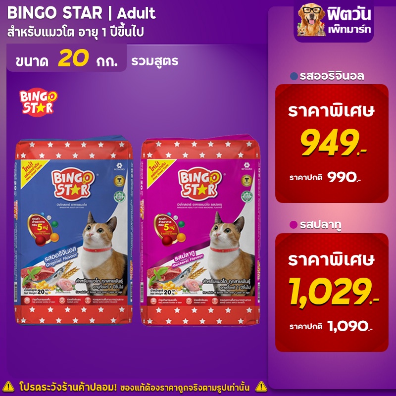 อาหารแมว BINGO STAR แมวทุกสูตร ขนาด 20 กิโลกรัม | Shopee Thailand