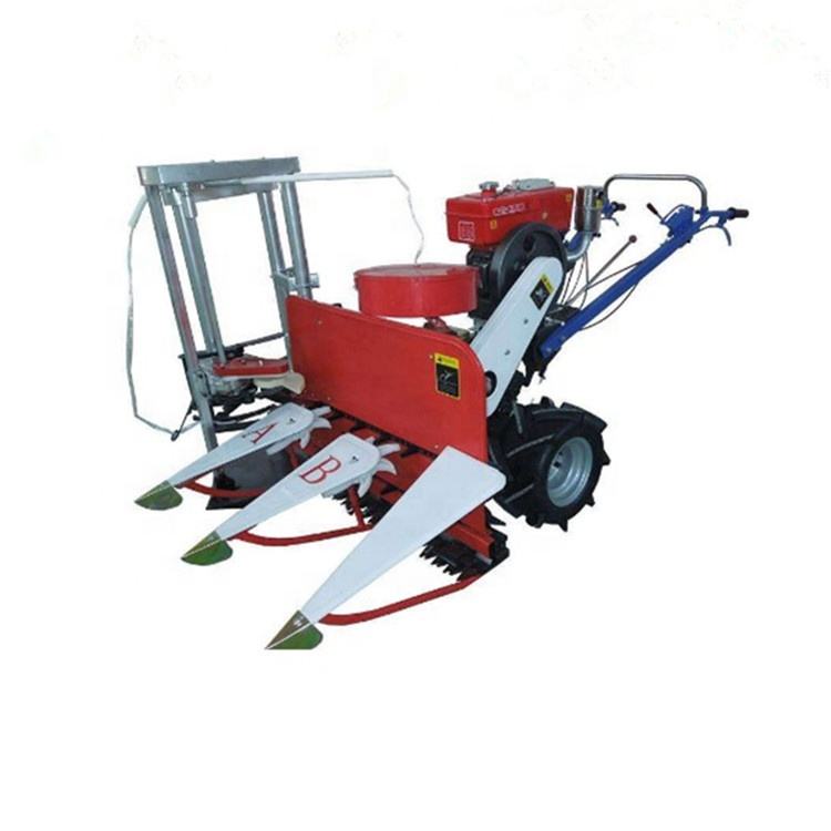 New Small Wheat Soybean Forage Grass Rape Pepper Reed Corn Sorghum ...