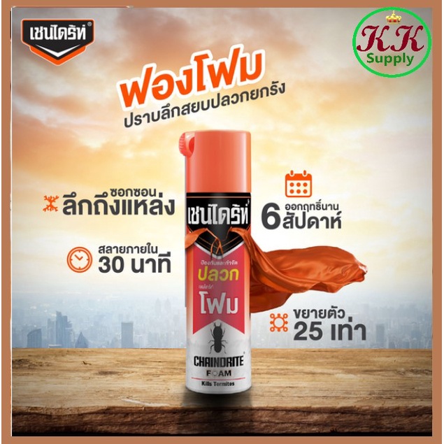 Chaindrite เชนไดร้ท์ โฟม ป้องกันและกำจัดปลวก CHAINDRITE FOAM 250 มล ...