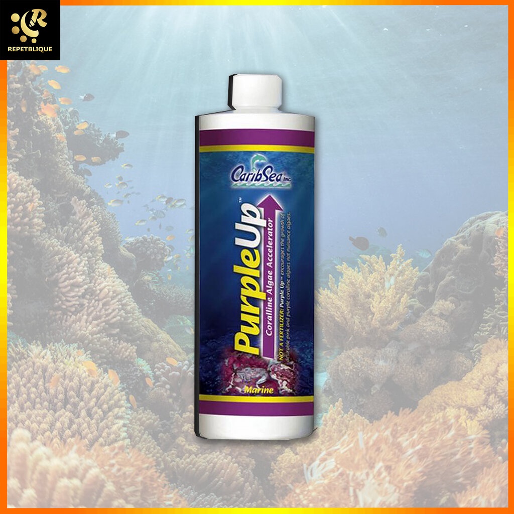 Caribsea Purple UP 237 ml | Shopee Thailand