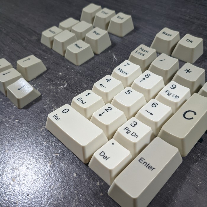 Alps Keycaps NOS Singleshot ABS X Tai Hao Duckling Acer Kbparadise NTC ...