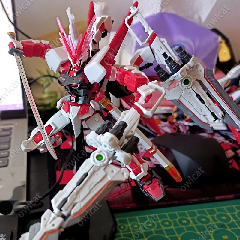 Gunpla HG Gundam Astray Red Frame Red Dragon 1/144 Gundam SEED Destiny Astray R - High Grade MBF ...