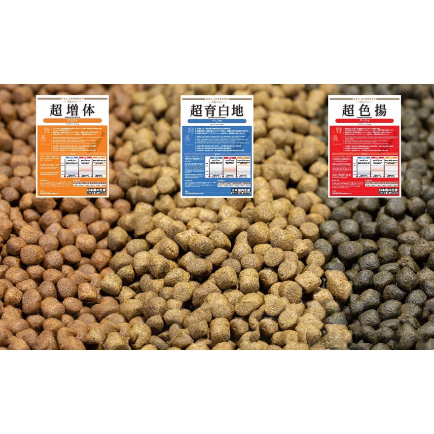 Odakan อาหารปลาคาร์พ นำเข้าจากญี่ปุ่น อาหารสำหรับปลาคาร์พเกรดพรีเมี่ยม ...