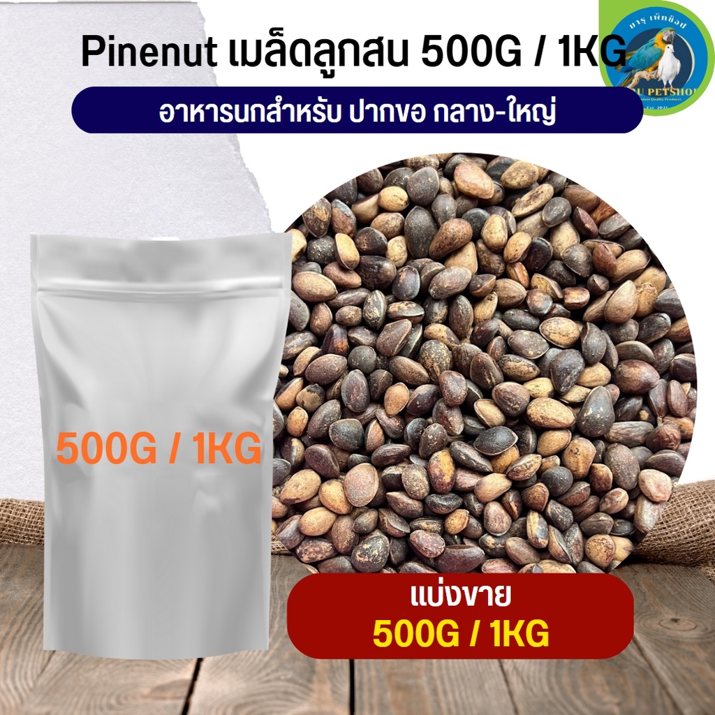 [กรอกโค้ด INCLL09 ลด 25%]ถั่วไพน์นัท ( แบ่งขาย 500G / 1KG) Pine Nut Peaอาหารนก กระต่ายและสัตว์ ...