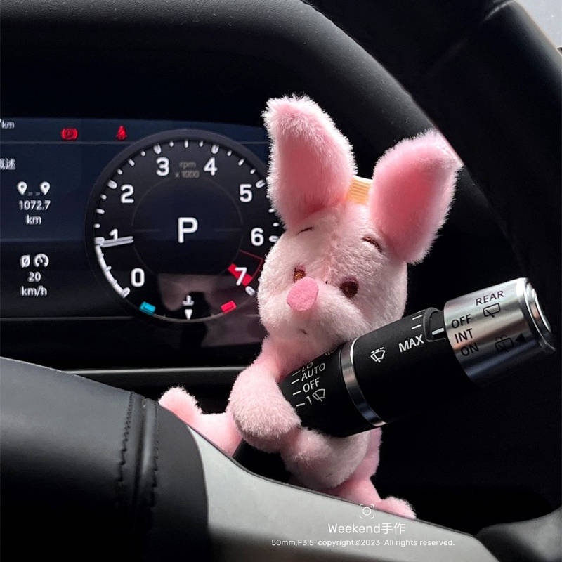 Cute Piglet Pig Car Windscreen Decoration Car Turn Signal Wiper ...