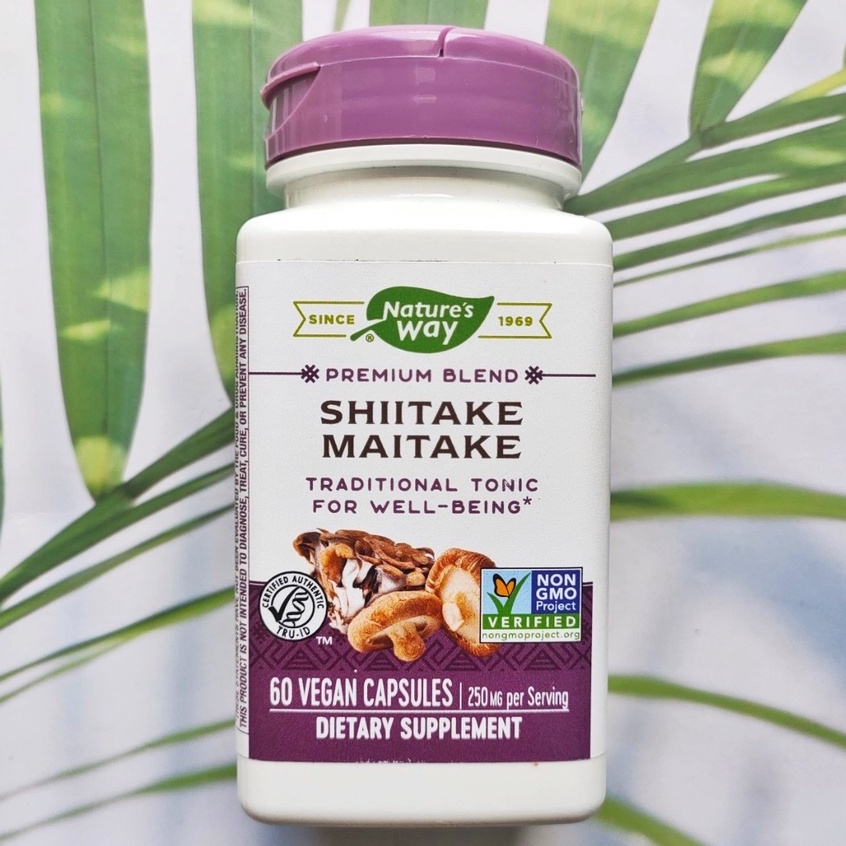 เห็ดชิตาเกะและไมตาเกะ Shiitake Maitake 250 mg 60 Vegetarian Capsules ...