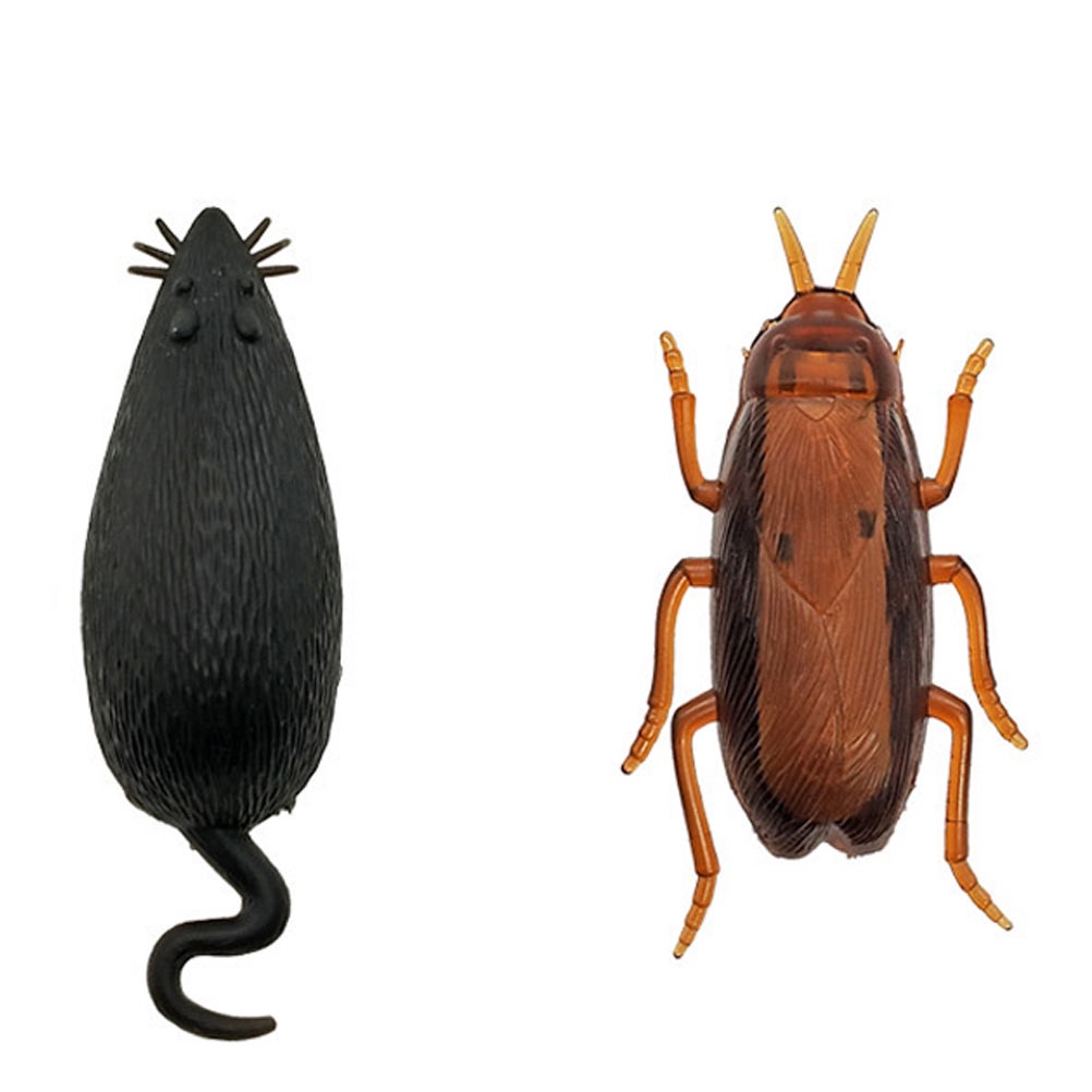 Fake Halloween Realistic Props Toys Scary Toy Prank Roaches Real Look ...