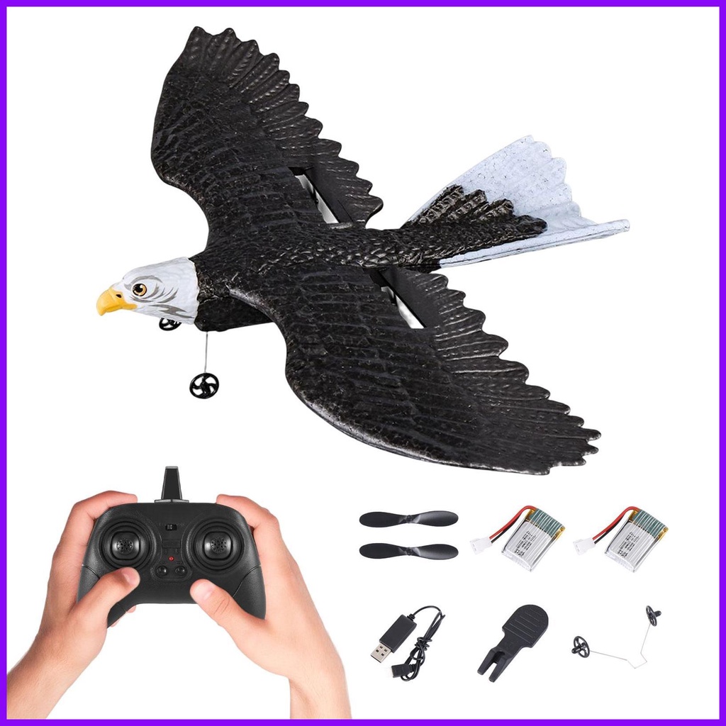 เครื่องบินบังคับวิทยุ 2.4GHZ 2CH Eagle-Shaped RC EPP ปีกนกอินทรี 2.4G ...