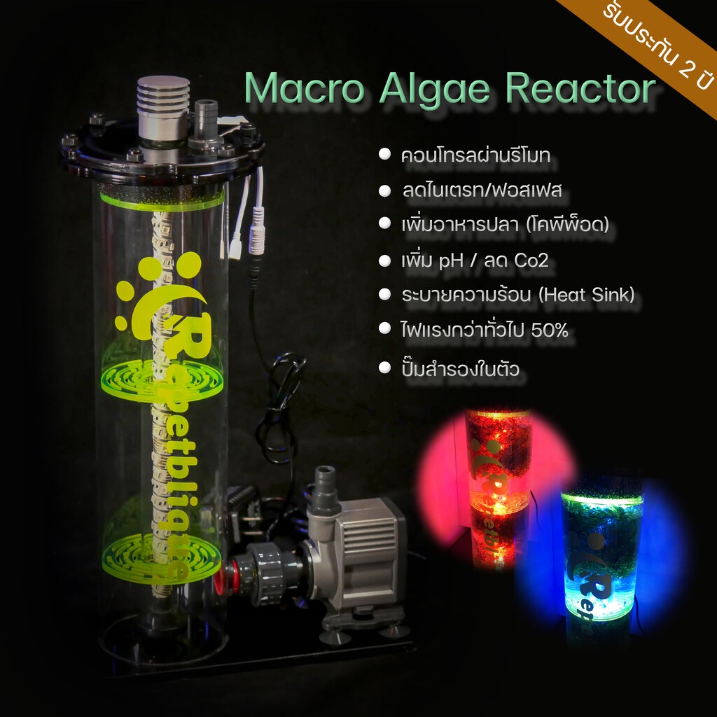 Macro Algae Reactor ระบบ Refugium ระบบเลี้ยงสาหร่าย ช่วยลด Po4 No3 ...