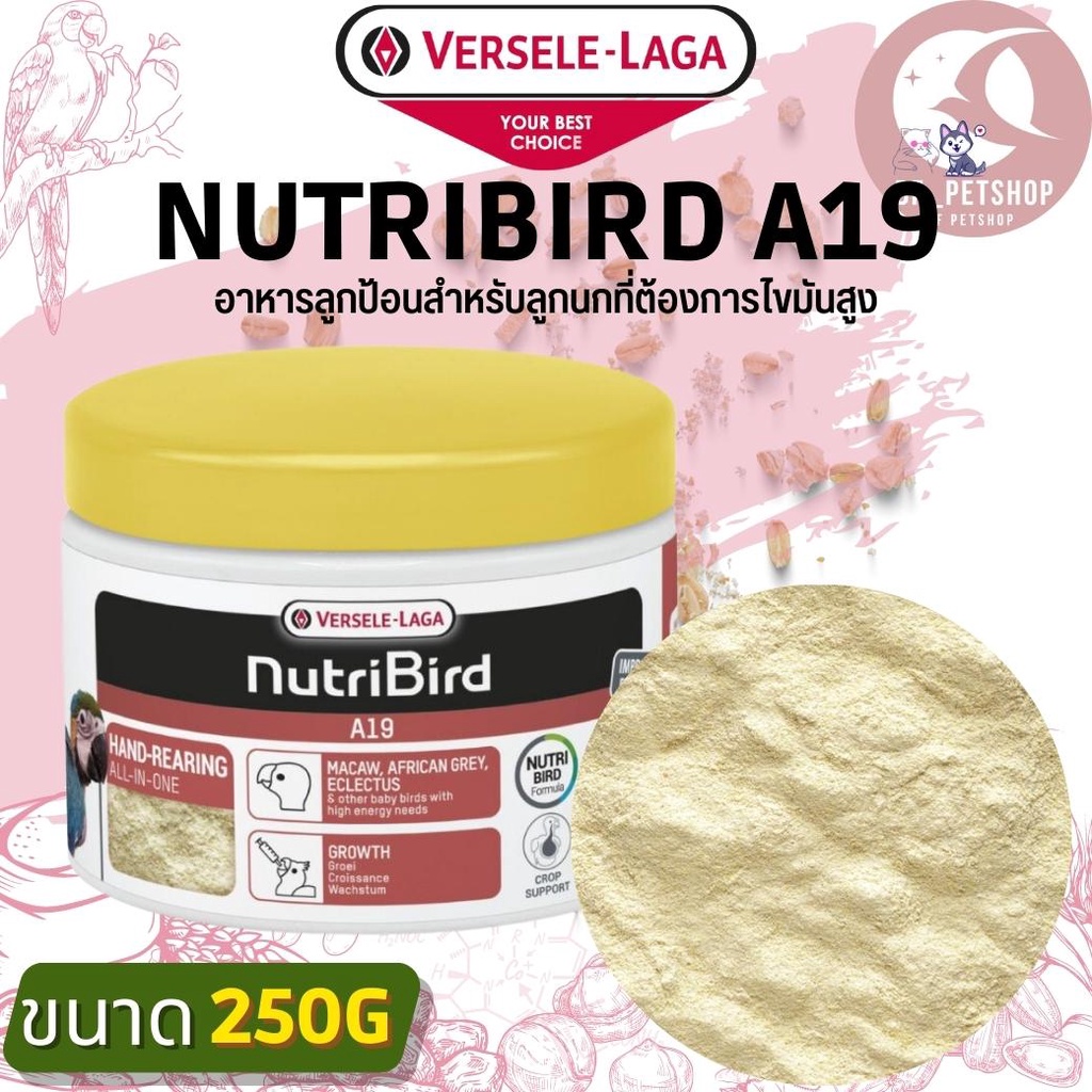 NutriBird A19 อาหารลูกป้อน เพื่อป้อนลูกนก สูตรไขมันและพลังงานสูง สำหรับนกขนาดกลาง-ใหญ่ สิ้นค้า ...