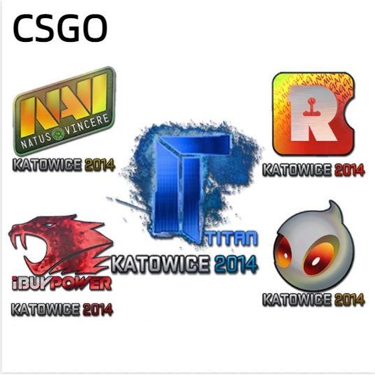 csgo game holographic sticker LGB vox G2 katowice TT navi faze tyloo ...