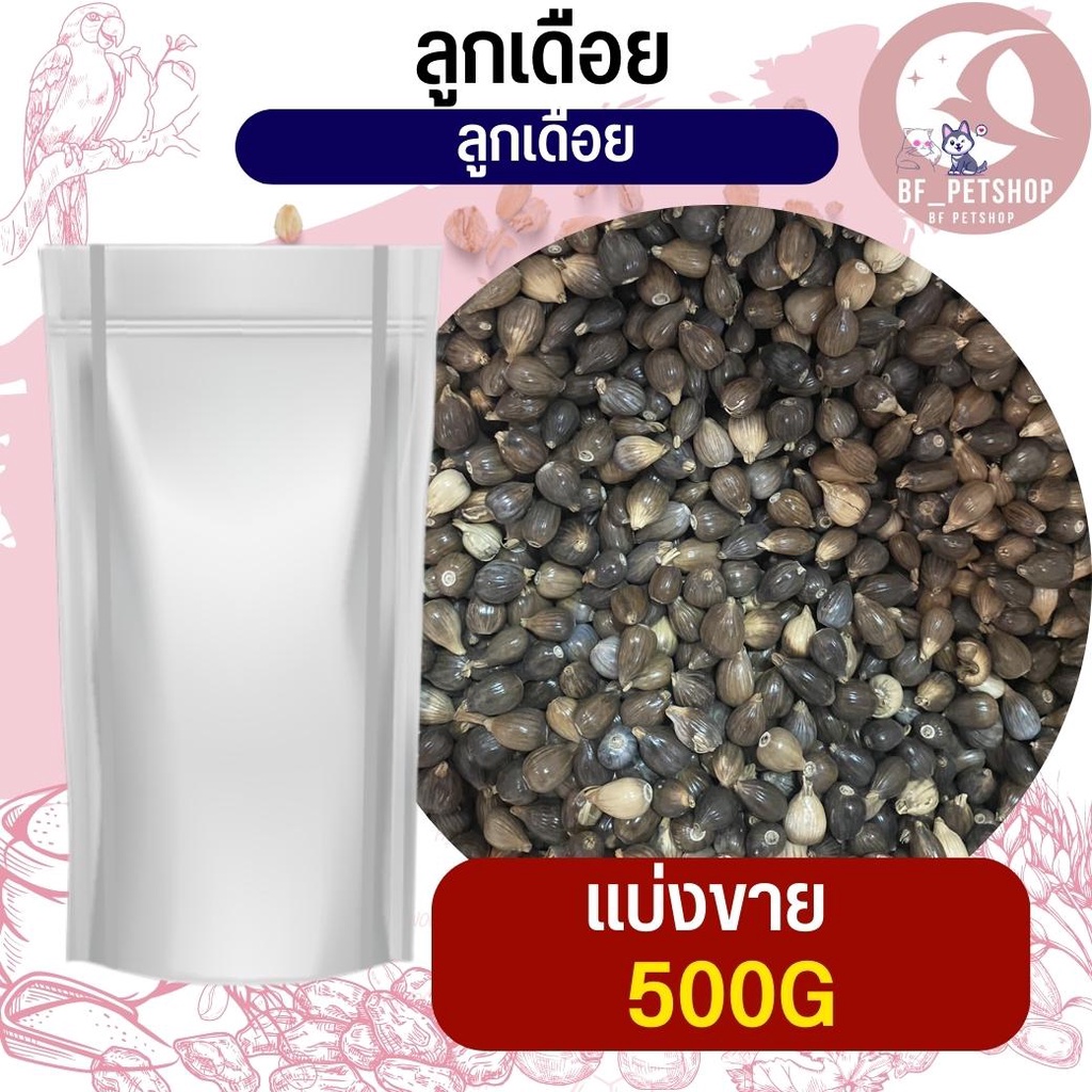 ลูกเดือย Thai millet อาหารนก หนู กระต่าย กระรอก ชูก้า และสัตว์ฟันแทะ ...