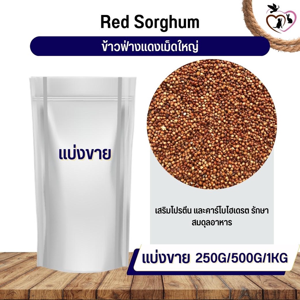 ฟ่างแดงเม็ดใหญ่ Red Dari อาหารนก กระต่าย หนู กระต่าย กระรอก ชูก้า และ ...