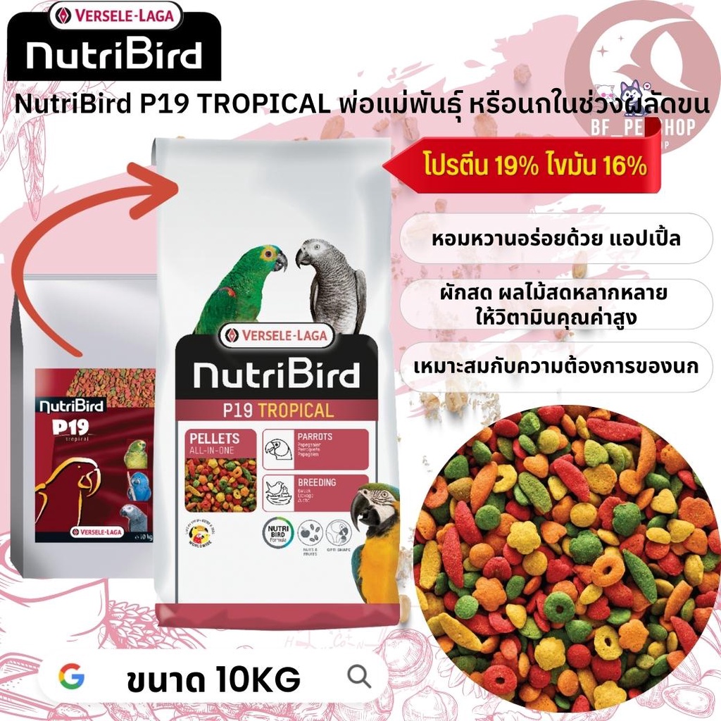 NutriBird P19 tropical 10kg (อาหารเม็ดสำเร็จรูป นกปากขอเตรียมความพร้อม ...