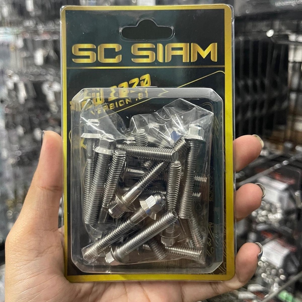 ชุดน็อตแคร้งเครื่อง หัวสนาม WAVE/KR/SONIC //NOT_168 | Shopee Thailand