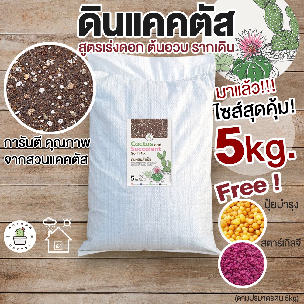 🌵((กระสอบ 5kg )) ดินปลูกแคคตัส ดินกระบองเพชร ไม้อวบน้ำ ผสมสำเร็จพร้อมปลูก กระสอบ 5 กิโลกรัม 5kg ...