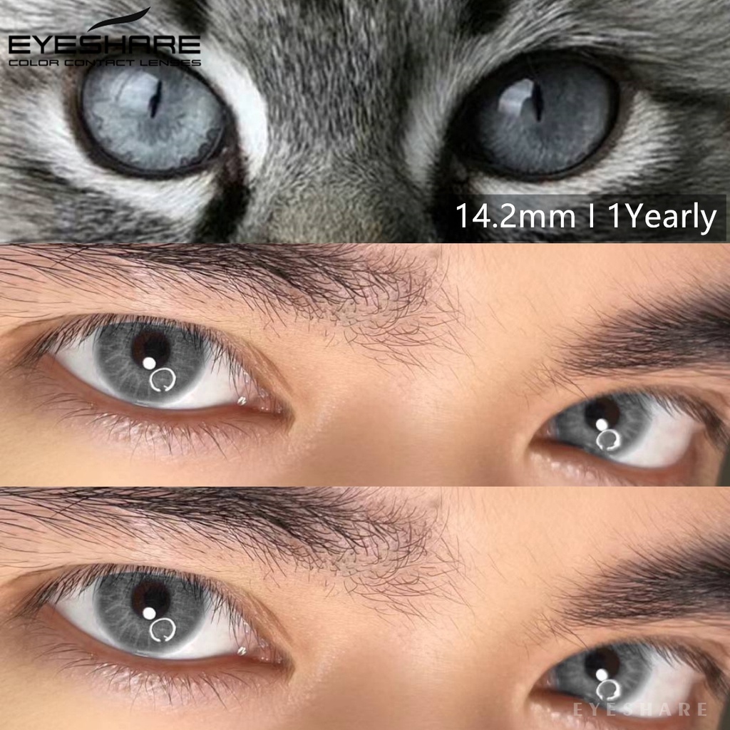 Eyeshare คอนแทคเลนส์สีธรรมชาติ สีเทา หลากสี 1 คู่ | Shopee Thailand
