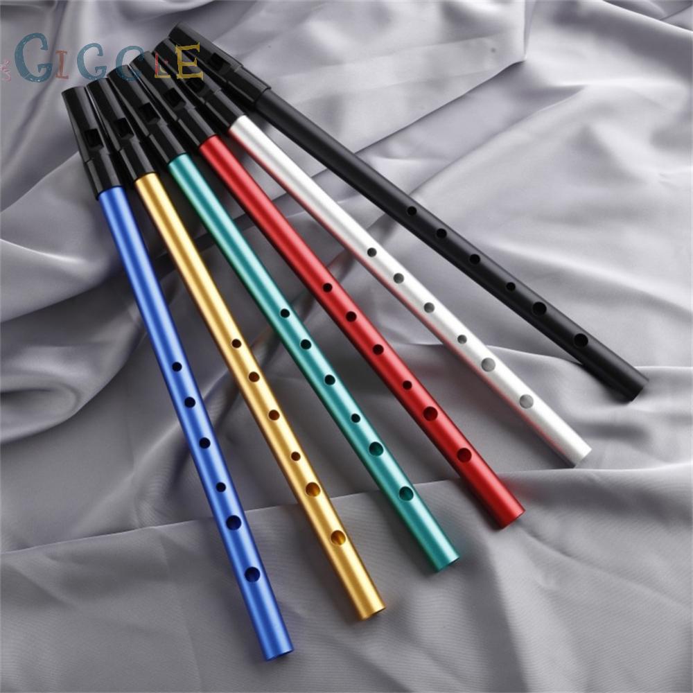 ⭐NEW ⭐Professional grade Irish Tin Whistle C and D Key Versatile ...