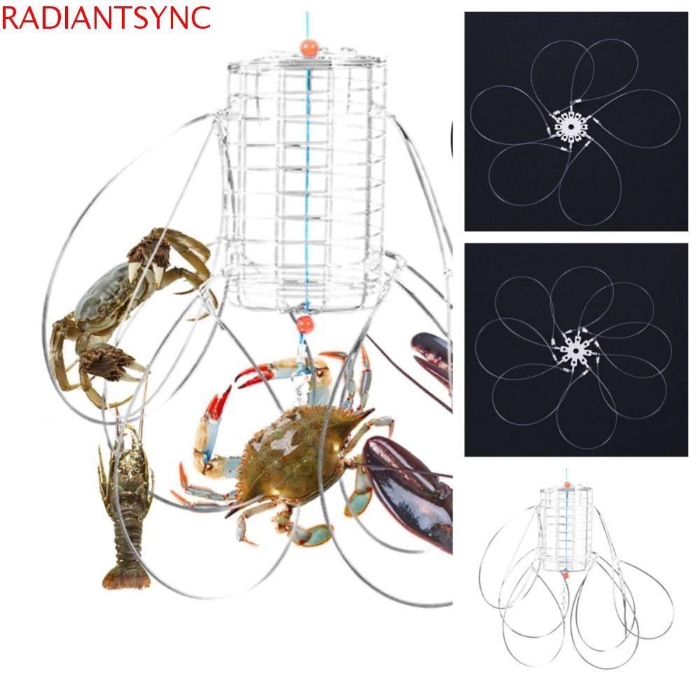 Radiantsync เครื่องมือจับปู, ลวดเหล็กสแตนเลส 8 กรงเล็บกรงตกปลาปู, กรงดักปลากรงตกปลารอกล่อกับดัก ...