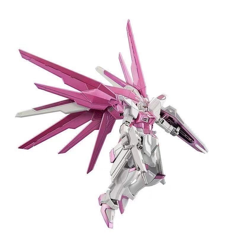 Designated Gundam HG Cherry Blossom Pink Freedom Gundam 1/144 Strike ...