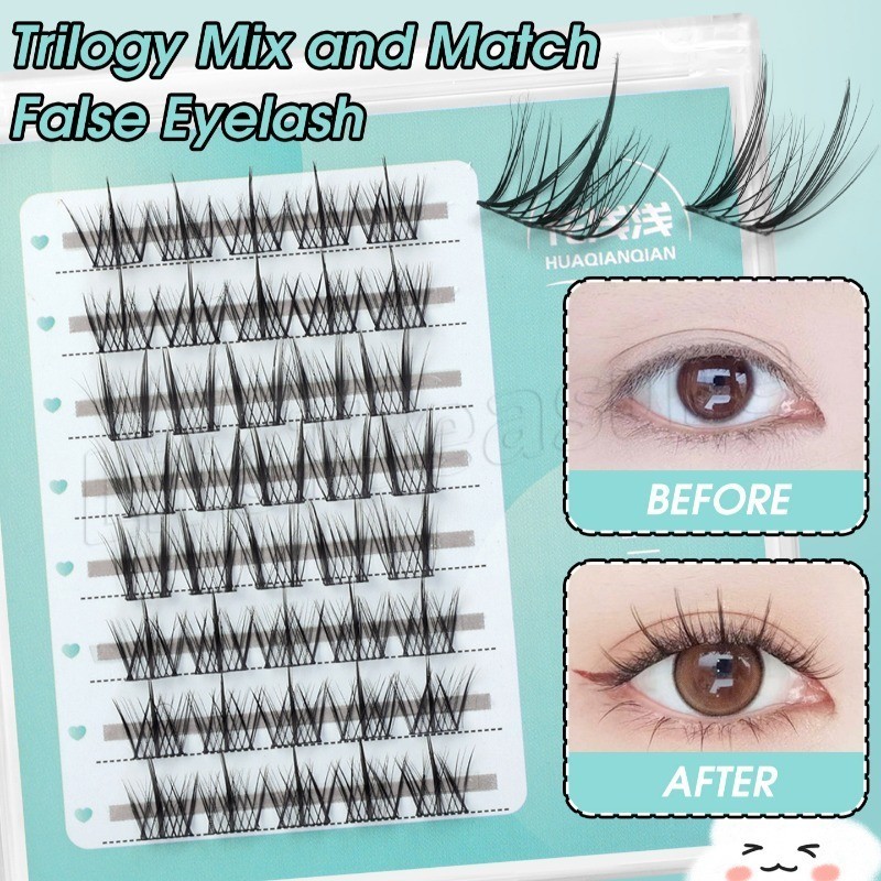 [ ใหม่ ]Trilogy Mixed False Eyelash Extension - Korean False Lashes ...