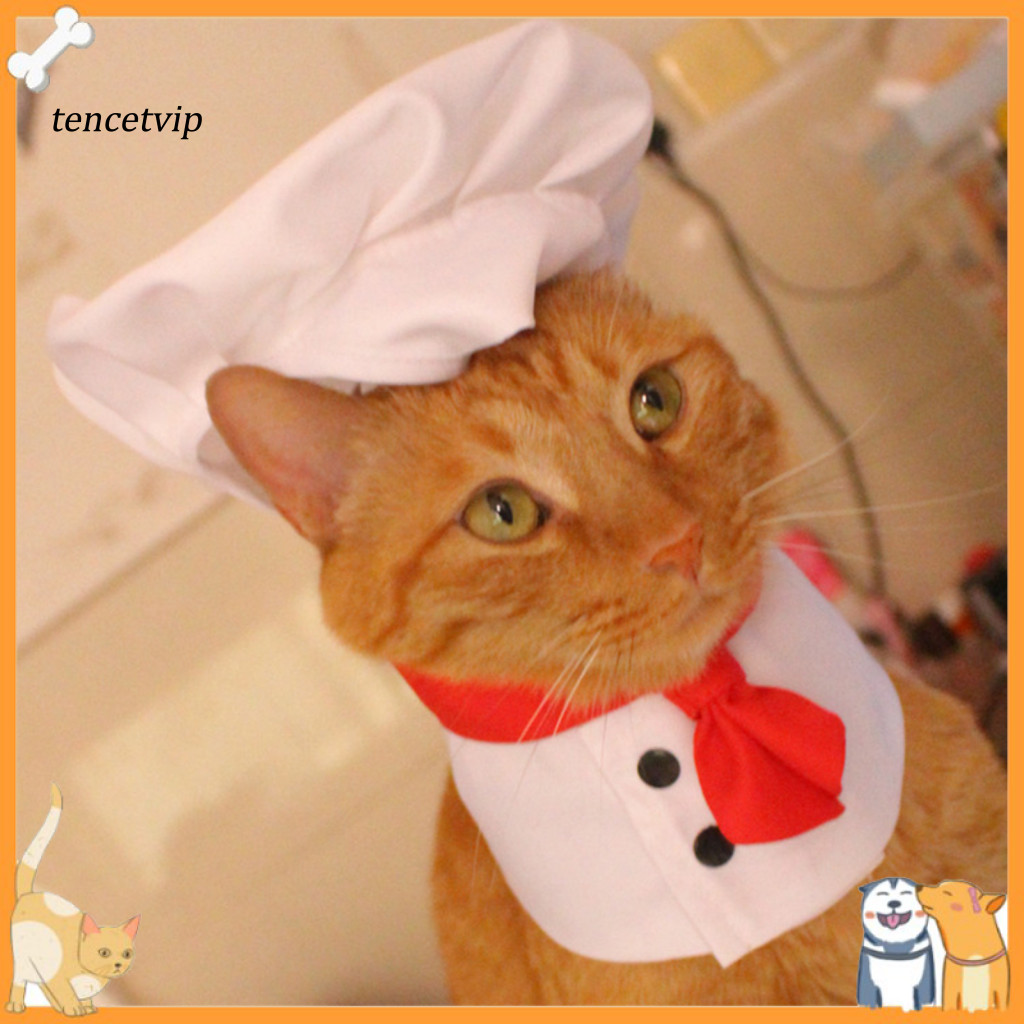 Vip 1 ชุด Mild to Skin เสื้อผ้าสัตว์เลี้ยง Party Supply Chef สไตล์สัตว์ ...