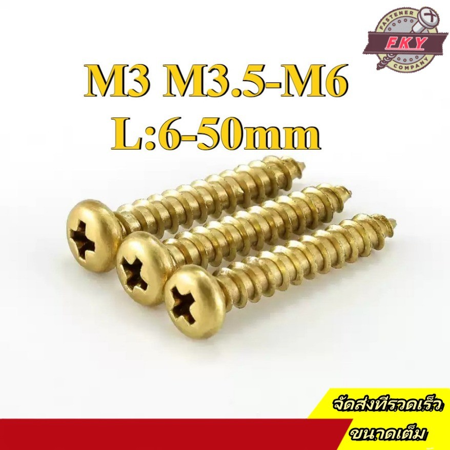 สกรู เกลียวปล่อย ทองเหลือง หัวกลม หัวแพน แฉก P+ ปลายแหลม น็อต Pan Head Phillip Tapping Screw M3 ...