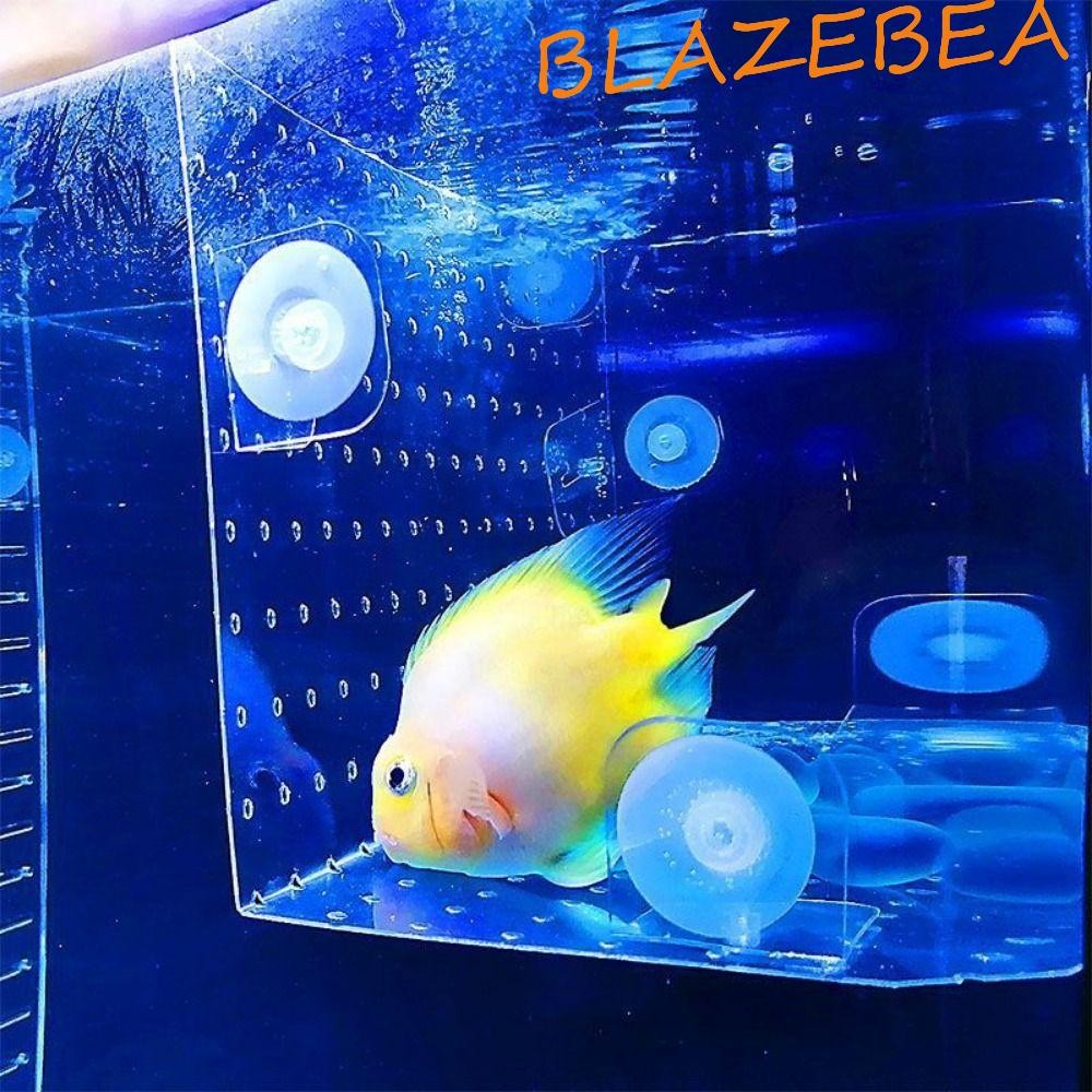 BLAZEBEA ถังปลาแผ่นแยก,อะคริลิคโปร่งใสปลา Breeding Case Divider, Bendable 1 มม.ความหนา Cuttable ...