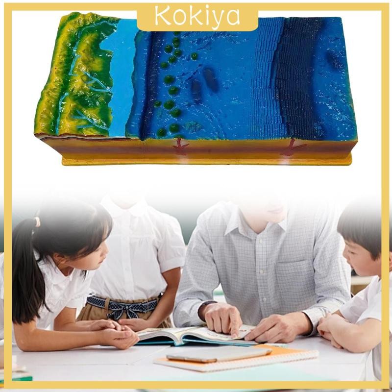[Kokiya] Surface Landforms Model Sturdy Geographic Plate Model for ...