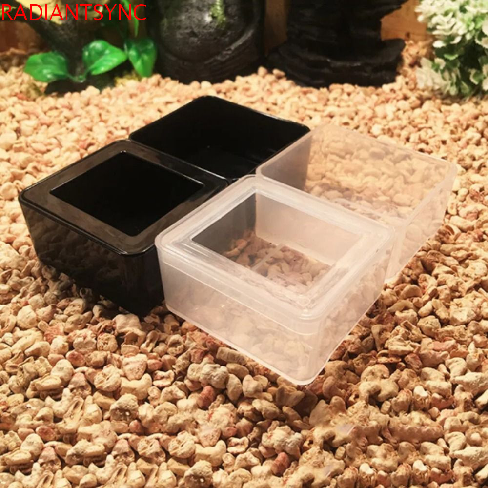 Radiantsync ชามให้อาหารสัตว์เลื้อยคลาน, กล่องคู่พลาสติกพลาสติก Breeding Feeders กล่อง, Spider ...