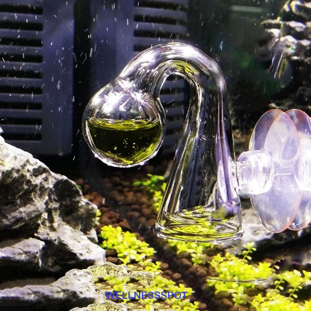 Wellnessspot CO2 Diffuser DIY ชุดเครื่องทดสอบ PH อุปกรณ์เสริมถังปลา ...