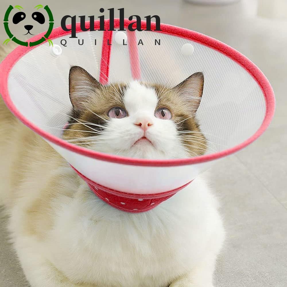 Quillan Cat Recovery Collars ปฏิบัติสีสันอุปกรณ์สัตว์เลี้ยงปรับ Anti ...