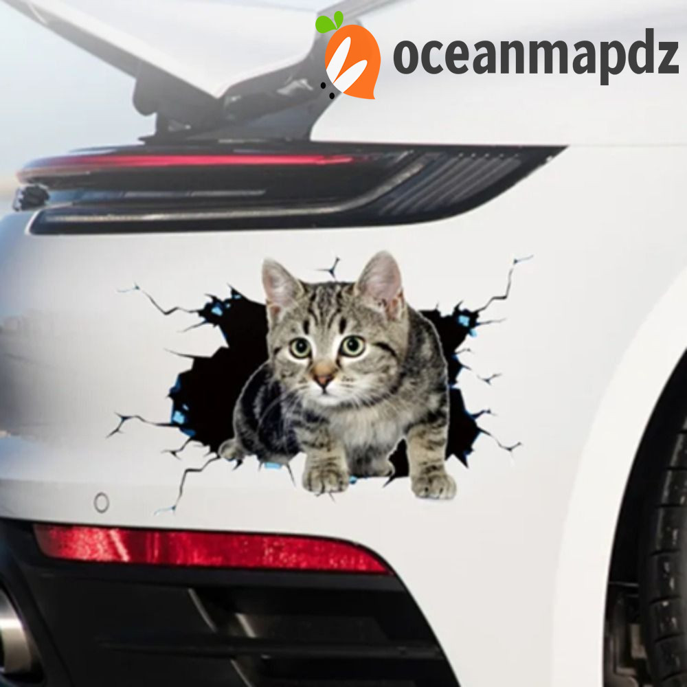 Oceanmapdz รถ 3D สติกเกอร์แมว, 3D แมวสัตว์จัดแต่งทรงผมแมวใน Crack สติกเกอร์, PVC ขวารถสติกเกอร์ ...