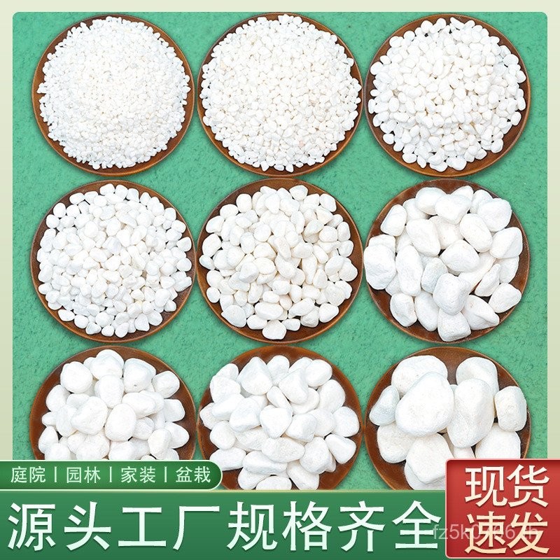 Paving Courtyard SKO7 สวนกรวดสีขาว Home Improvement หินภูมิทัศน์ดอกไม้ ...