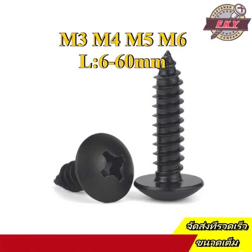 น็อต สกรู หัวร่ม หัวกระทะ แฉก T+ สแตนเลส 304 สีดํา เกลียวปล่อย / Truss an Head Phillip Tapping ...