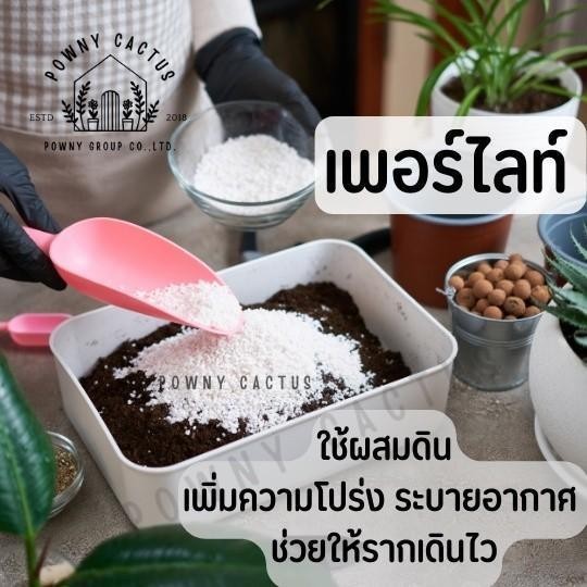 เพอร์ไลท์ 4-8มม. แบ่งขาย ราคาถูก Perlite 4-8mm dust less | Shopee Thailand