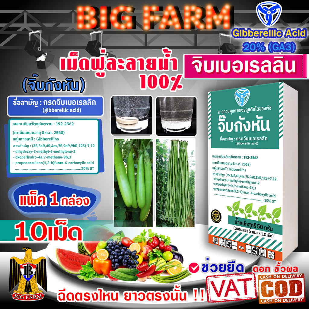 จิบเบอเรลลิน Gibberellin จิบเบอเรลลิก แอซิด ชนิดเม็ด Gibberellic Acid 20% (GA3) เม็ดฟู่ ละลายน้ำ ...