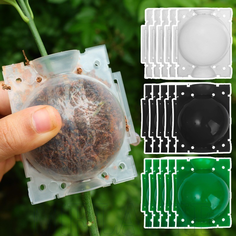 20-5PCS Plant Rooting Ball-Reusable Plant Root Growing Box-Propagation ...