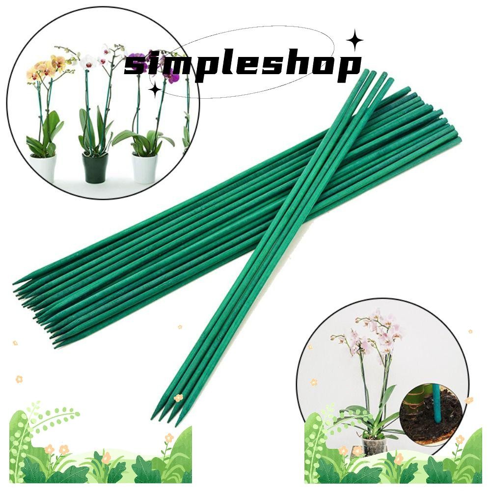 SIMPLESHOP 10 ชิ้นดอกไม้ Sticks, อุปกรณ์เสริม 40 ซม. พืชสนับสนุน Stick, Professional ไม้ที่ถอด ...
