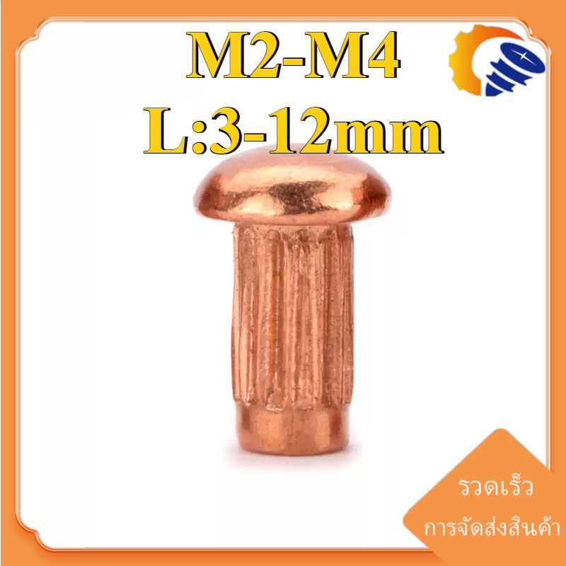 (ZQ) รีเวท ตะปู ตะปูเกลียวเคาะ หมุดย้ำ หัวกลม ทองแดง / Rivets For Name ...