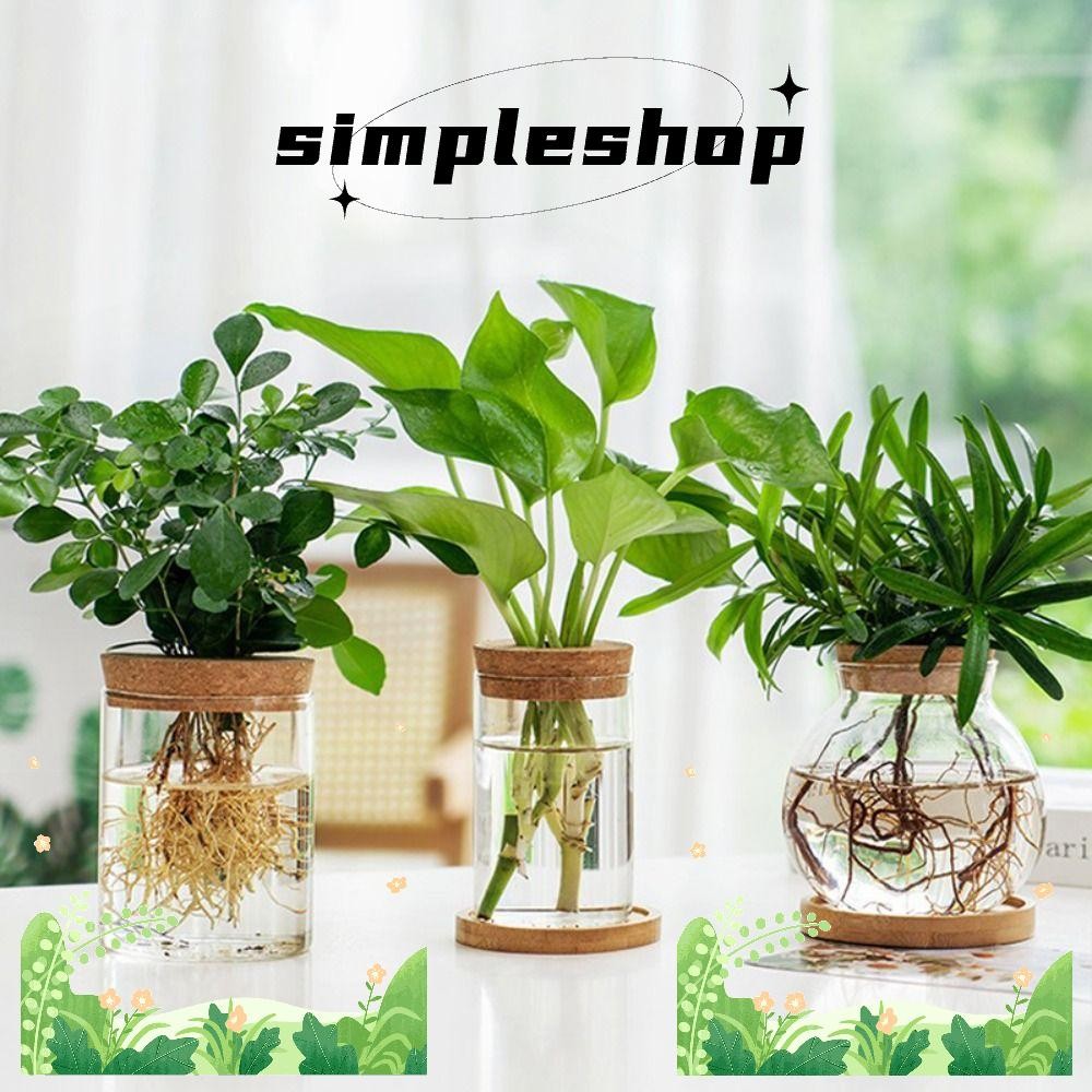SIMPLESHOP แจกันแก้วบ้าน, กระถางดอกไม้ไฮโดรโปนิขนาดเล็กสร้างสรรค์, กระถางสวนสวนสวนใสไร้ดิน ...
