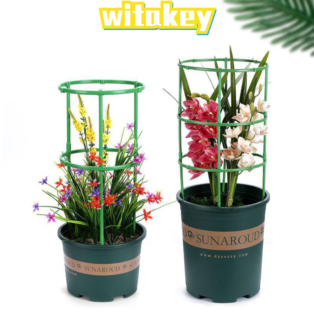 WITAKEY 3 ชุดเถาปีนเขา Stake, กองรองรับพืชสีเขียวแบบถอดได้, ทนทานครึ่งรอบใช้งานง่ายสวนผู้ถือ ...