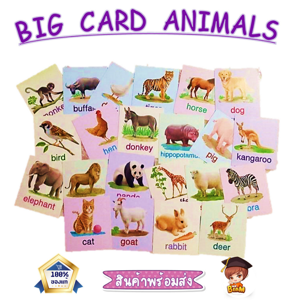 Flash Card Animal บัตรคำเสริมพัฒนาการที่ดี | Shopee Thailand